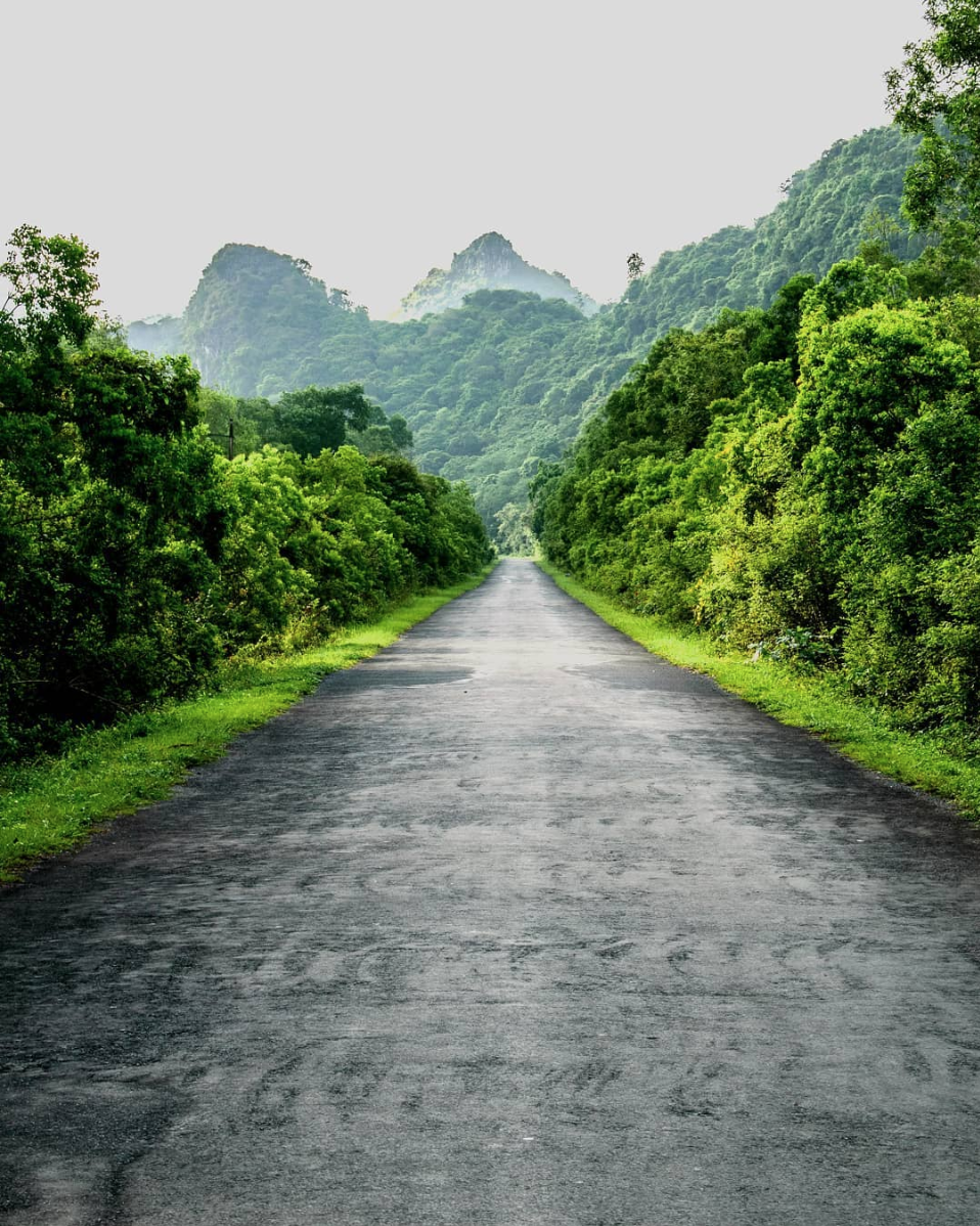 Cat Ba National Park Bus Hanoi To Cat Ba Island Cat Ba National Park Bus Hanoi To Cat Ba Island